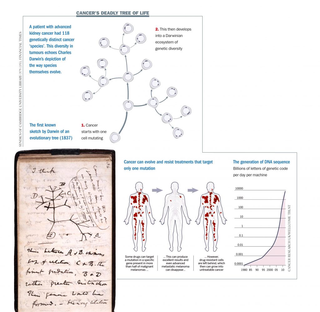 The origin of a special success | Cancer World Archive
